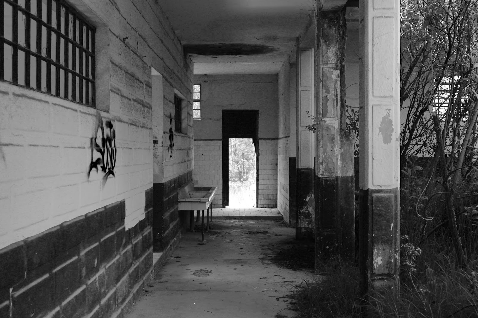 VIVIENDO EN MEMORIAS: LA SIBERIA: CONMEMORANDO RELATOS DE CEMENTO