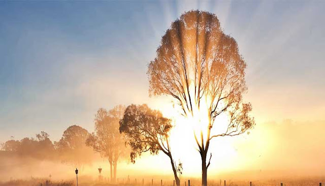 5 Fakta Menarik Tentang Musim Kemarau - CakWiCak