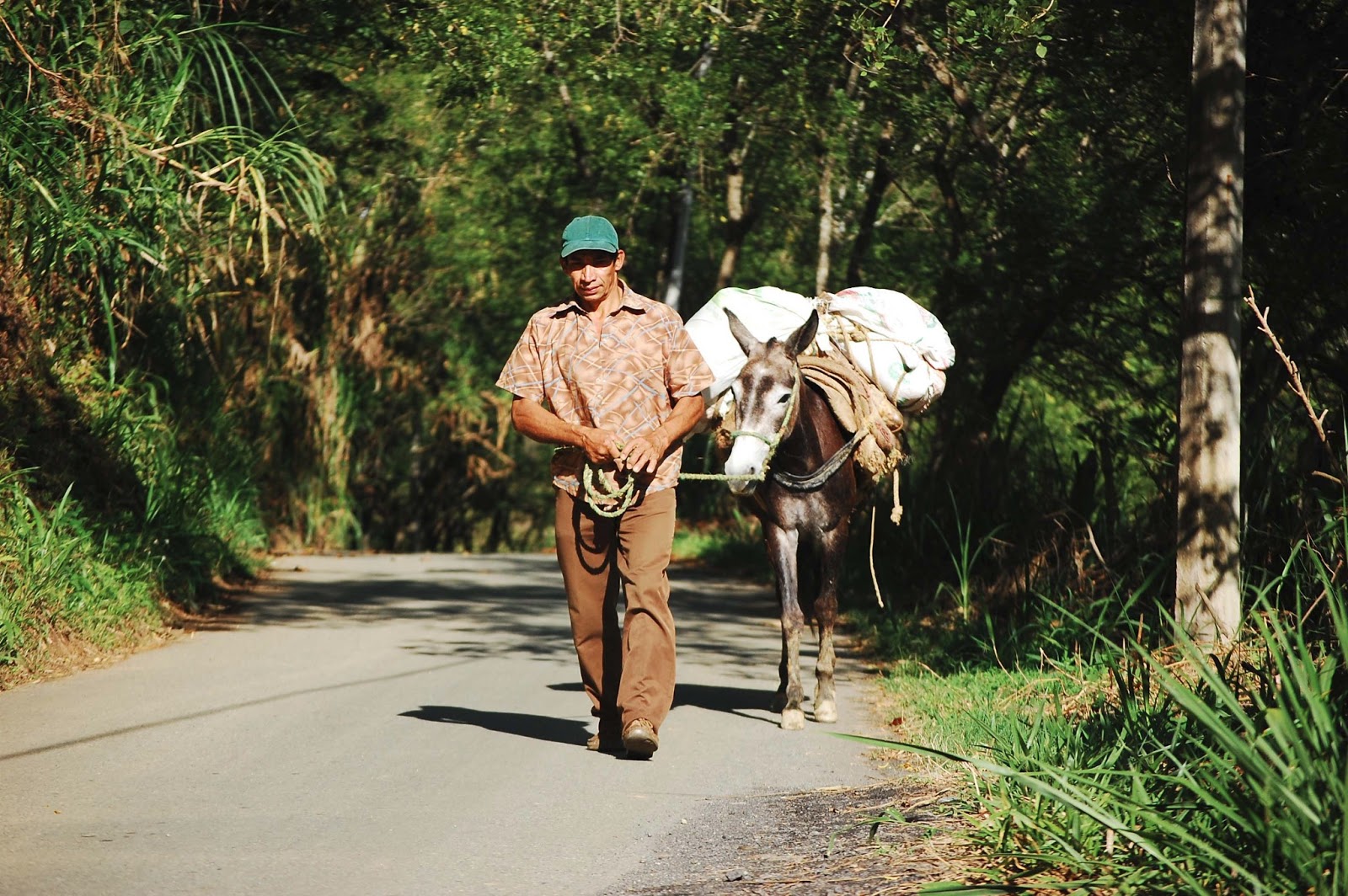 Pueblo: ¡FELIZ DÍA CAMPESINO!