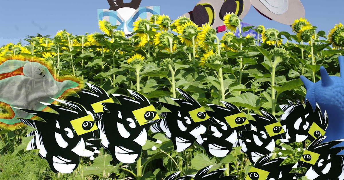 Follow the Wabbit: The Wabbit watches the Plan Executed