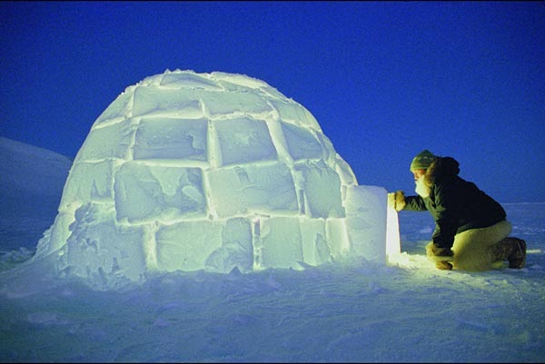 InfoFacts: Igloo
