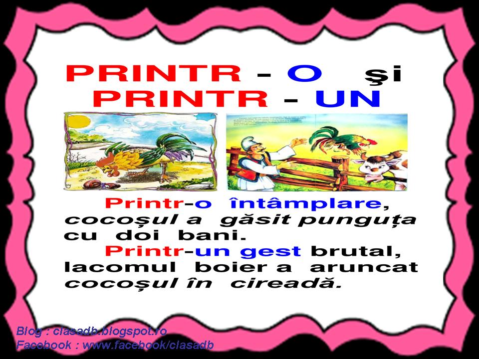 CLASA NOASTRĂ: [ FOTO ] ORTOGRAME ( 3 )