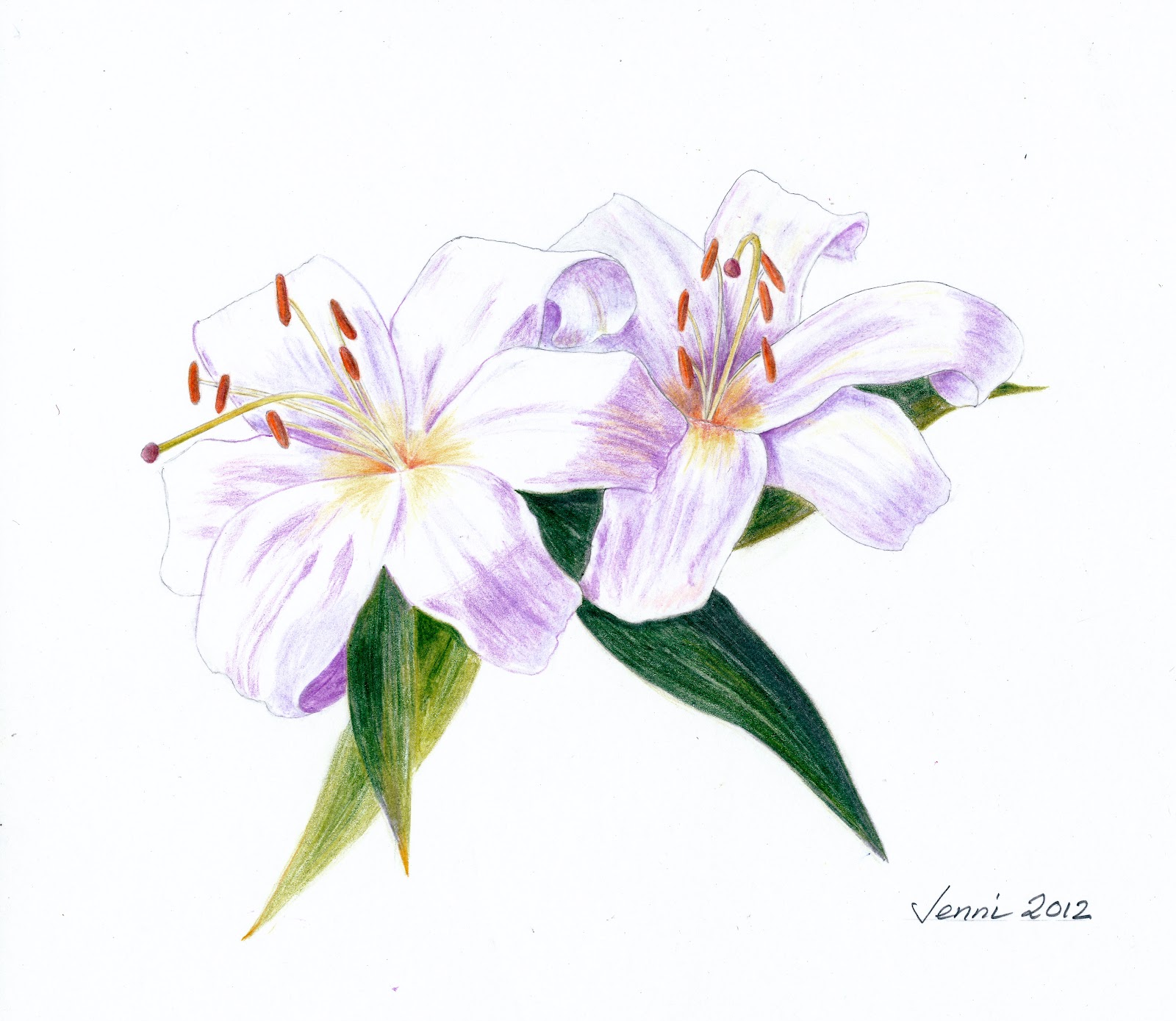 Crafty Musings: White Lilies