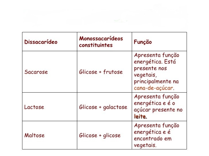 Bioquímica Celular (Carboidratos)