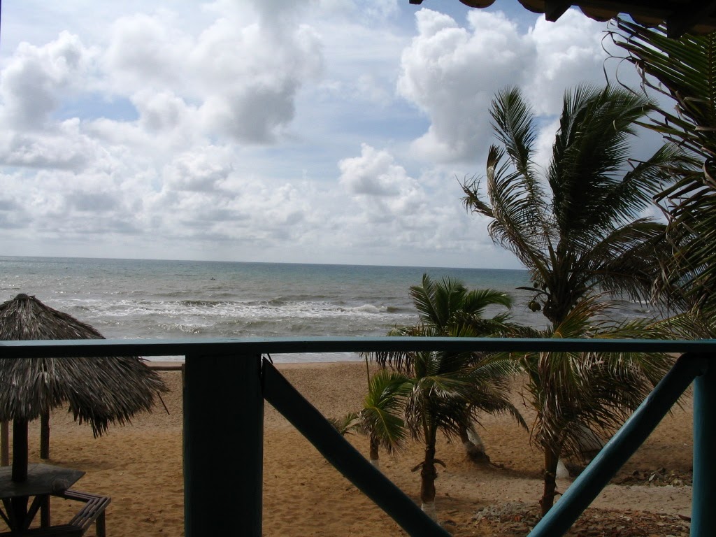 MEU SEGUNDO LAR: BAIXIO - LINHA VERDE/BAHIA