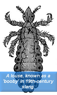 Prison Slang - Inside BOGGO ROAD