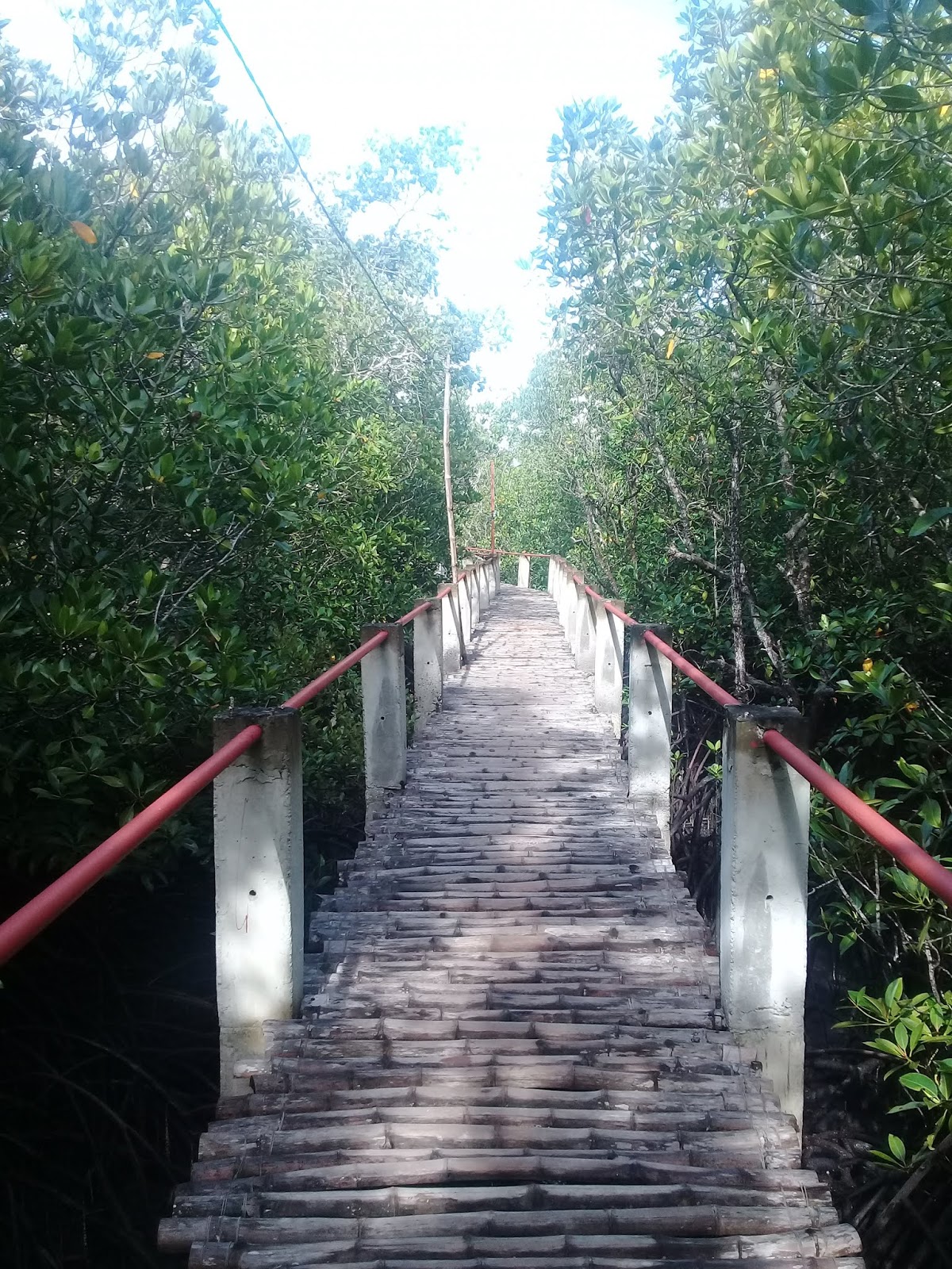 My Wanderings: Anislag Boardwalk - Another Havenly Place for an ...