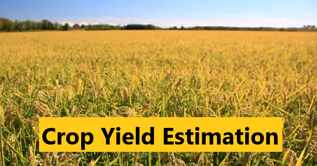 Crop Yield Estimation, Definition of biological yield and economic ...