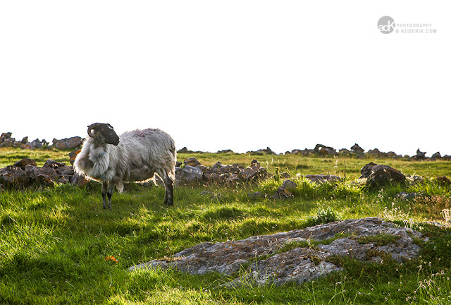 Scenic Landscapes of Fahamore Castlegregory, Co. Kerry, Ireland - Part ...