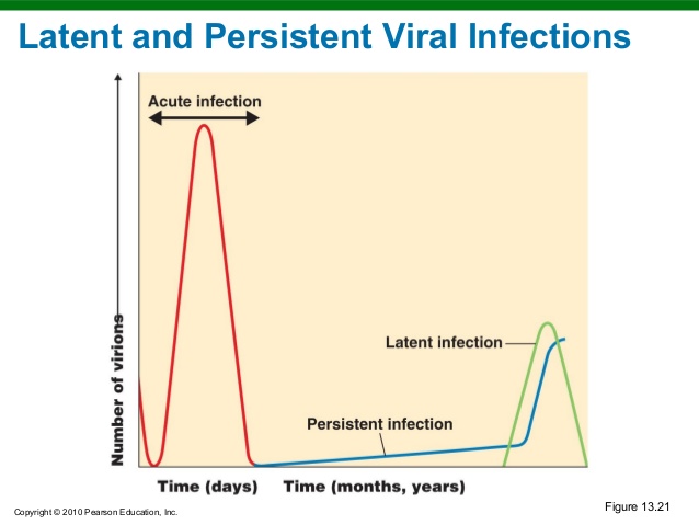 Difference Between Latent and Persistent Viral Infection----On ...