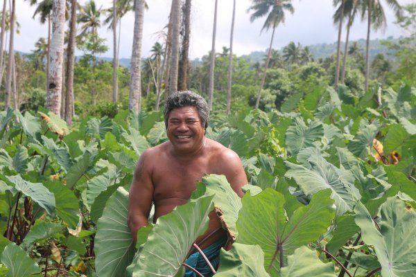 Samoan kids at the family Plantation? ~ The Manaia Blog-writer