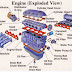 Engine Parts (Exploded View).