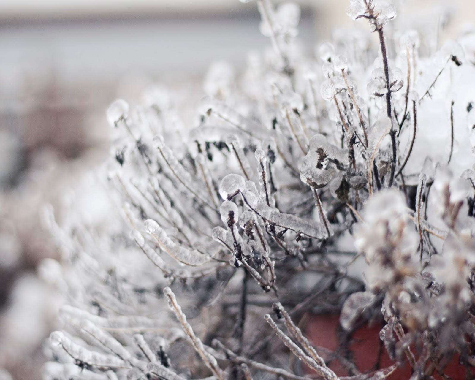 spindles+hanks::spindle+shanks