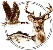 From the Ozarks ... to the World!: MEN AND BOYS WILD GAME DINNER