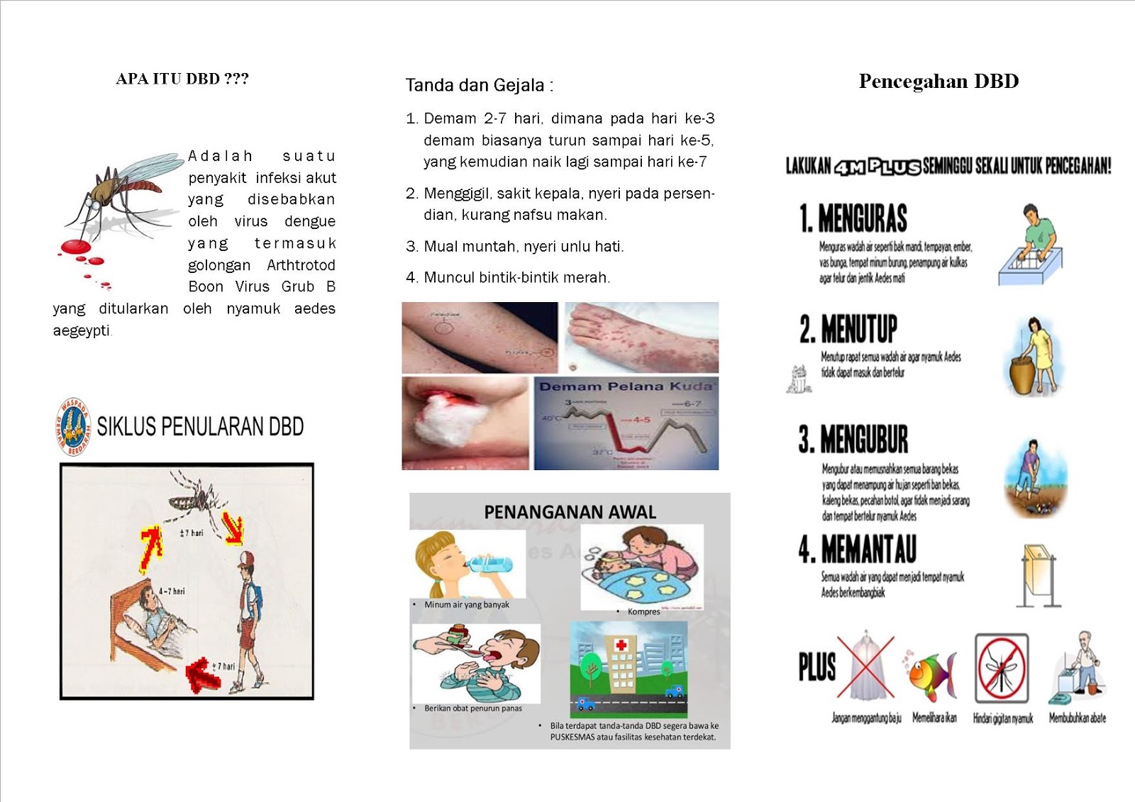 Kreatifitas Tanpa Batas: Contoh leaflet DBD dengan pencegahan 4M Plus