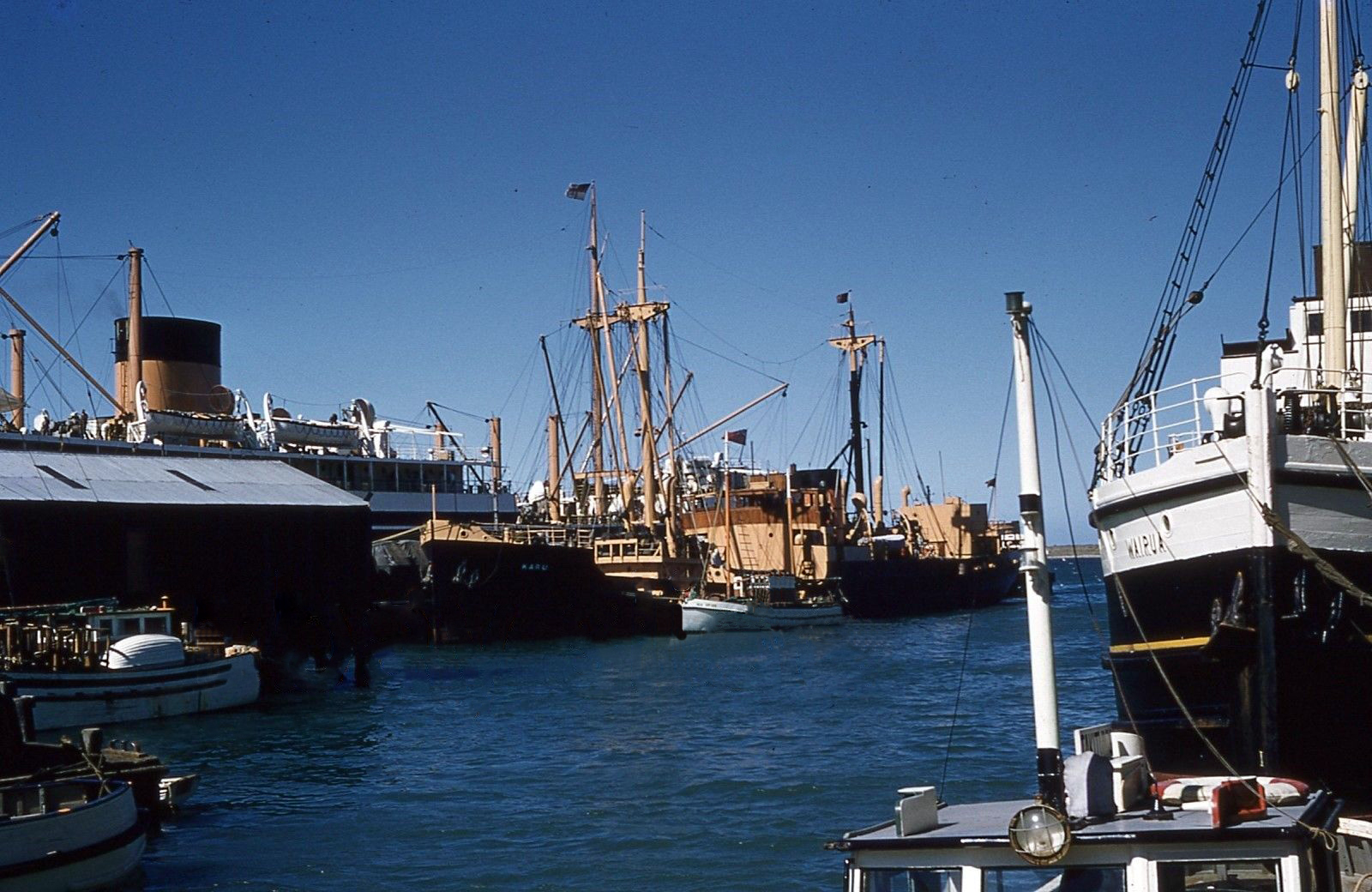 transpress nz: ships in Bluff, NZ, 1950s