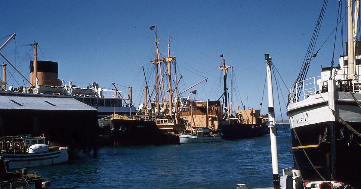 transpress nz: ships in Bluff, NZ, 1950s