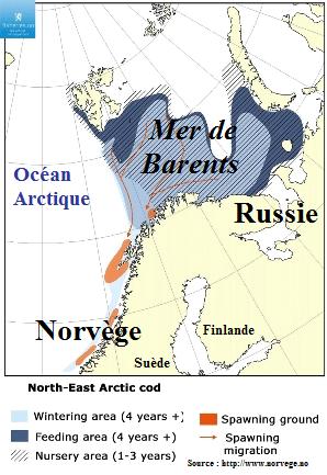 Les quotas de cabillaud de la Norvège en mer du Nord et en mer de Barents