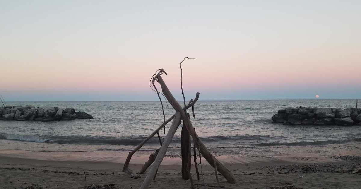Lake Michigan Swimmers