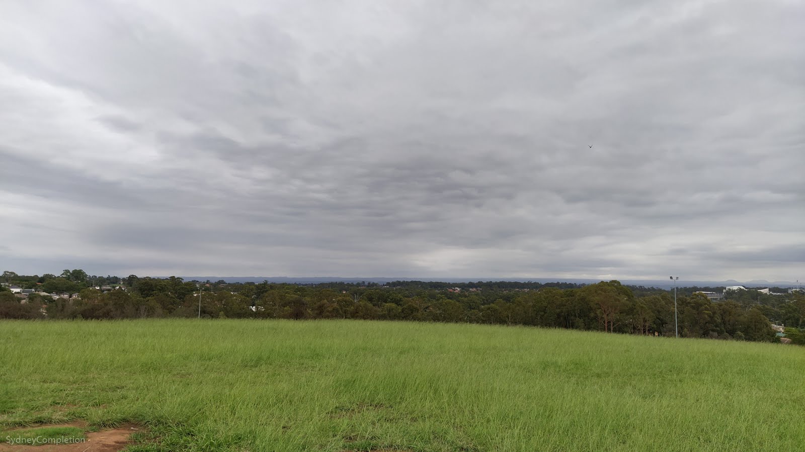 You're Rootyful: Rooty Hill - Completing Sydney