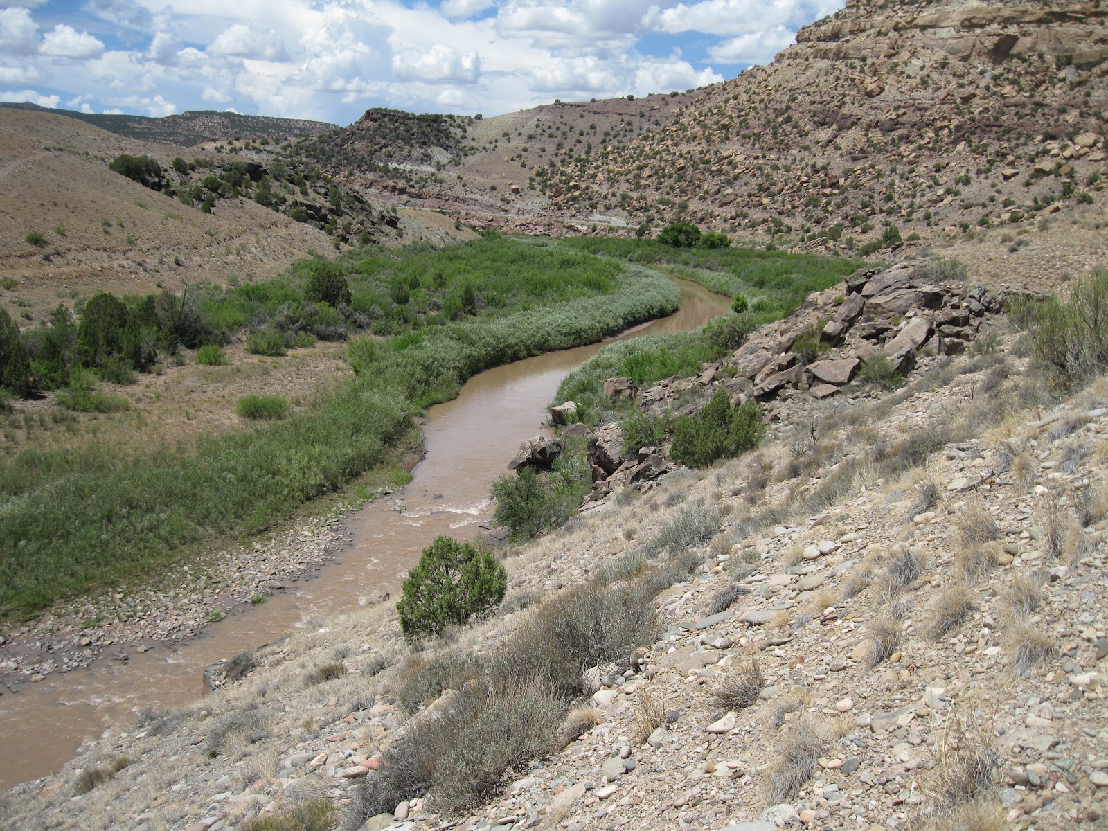 Four Corners Hikes-Dolores River Valley Colorado: Dolores River at ...