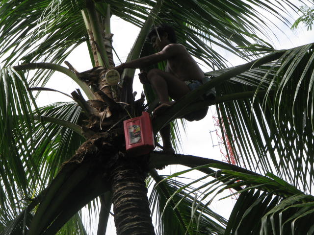 *W-REG : Cara Membuat Cimplung Khas Banyumas