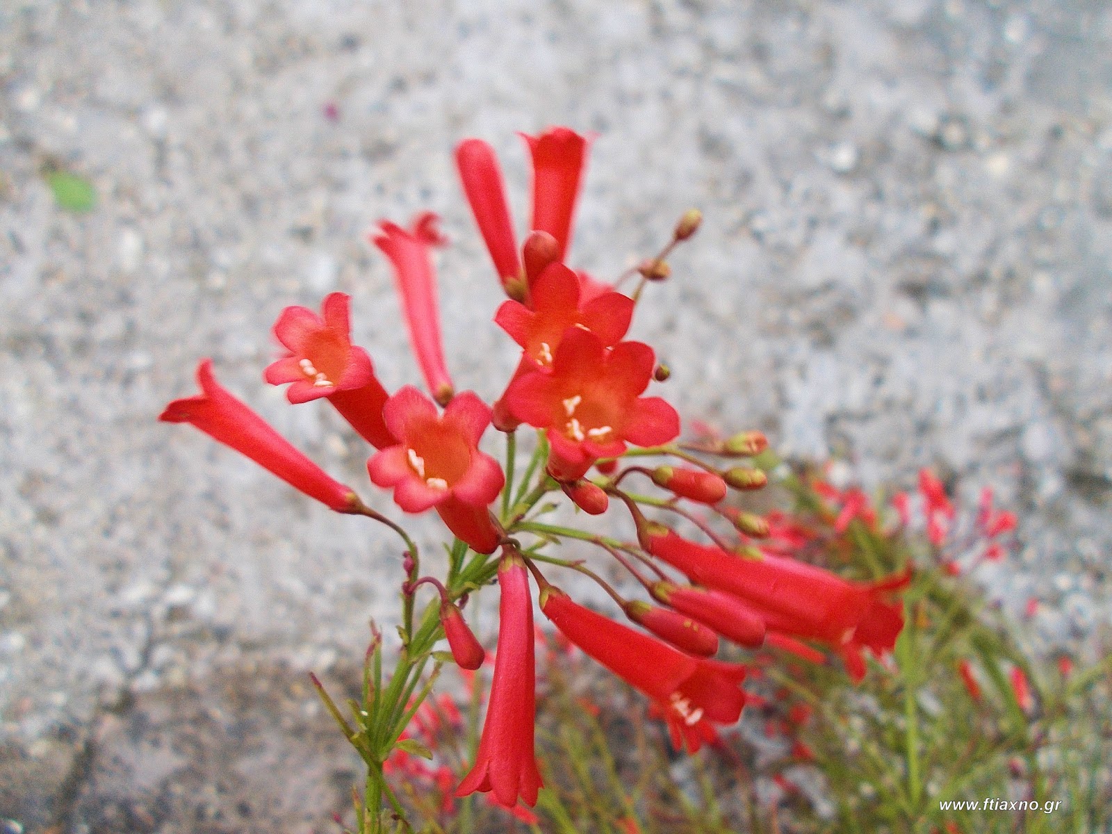 Φτιάχνω μόνος μου: 4 Μαΐ 2016