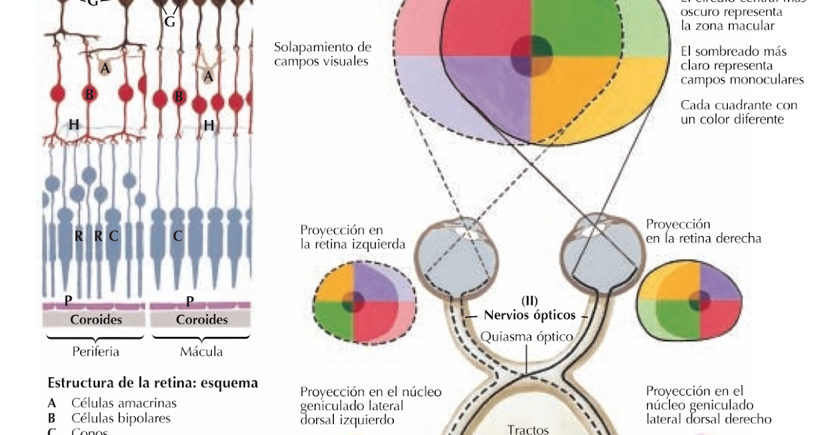 Vía Visual: Vía Visual
