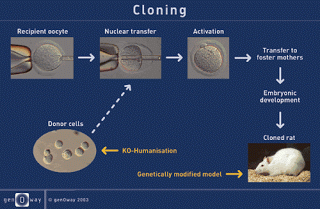 Super Biologi: Bioteknologi Hewan