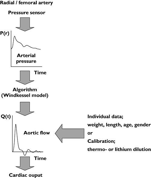 心肺容積監視器 PulseContour Cardiac Output, PICCO