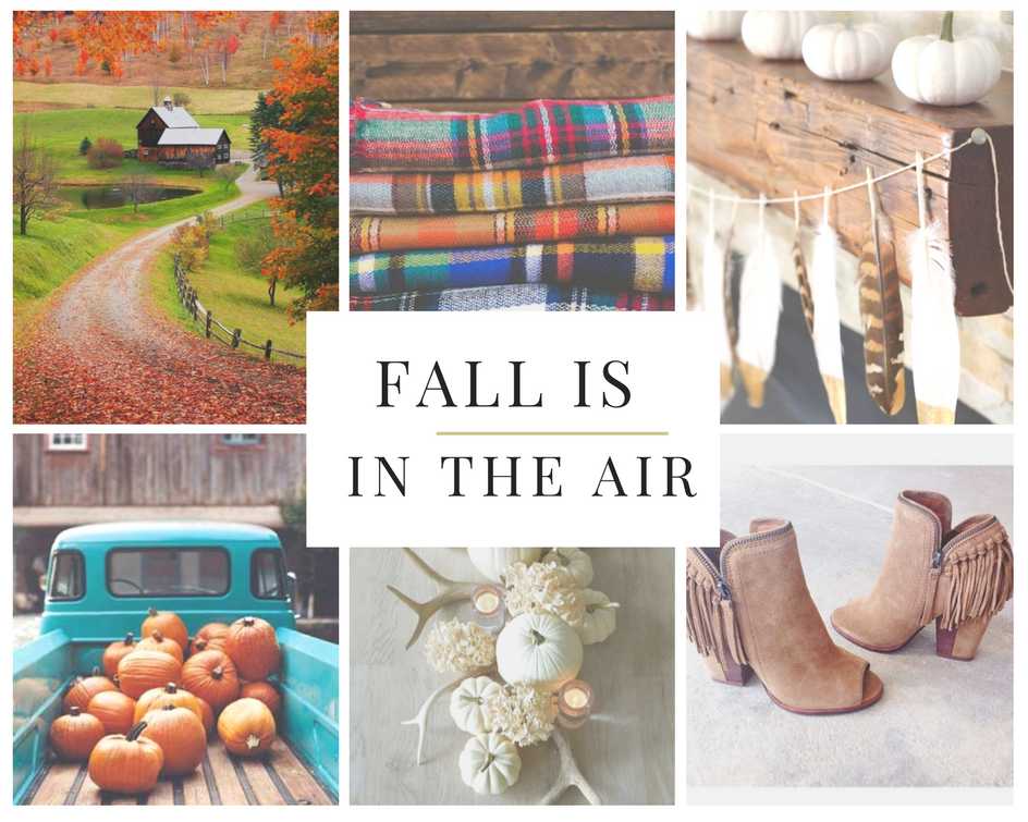 Fall Is In The Air - Peaches and Willow