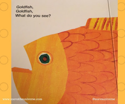 Zoe vs. the Universe: Zoe vs. the Average Lifespan of the North ...