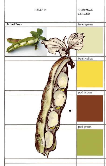 Planet Sam: Colour from the Season - Broad bean green