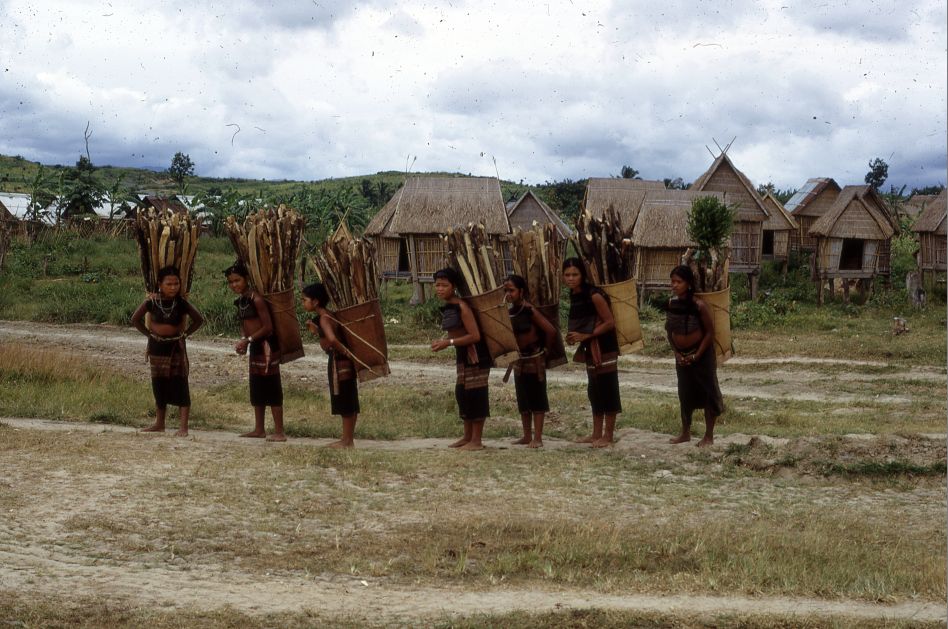 Bob McKerrow - Wayfarer: A history of the Bana hill tribe in Vietnam ...