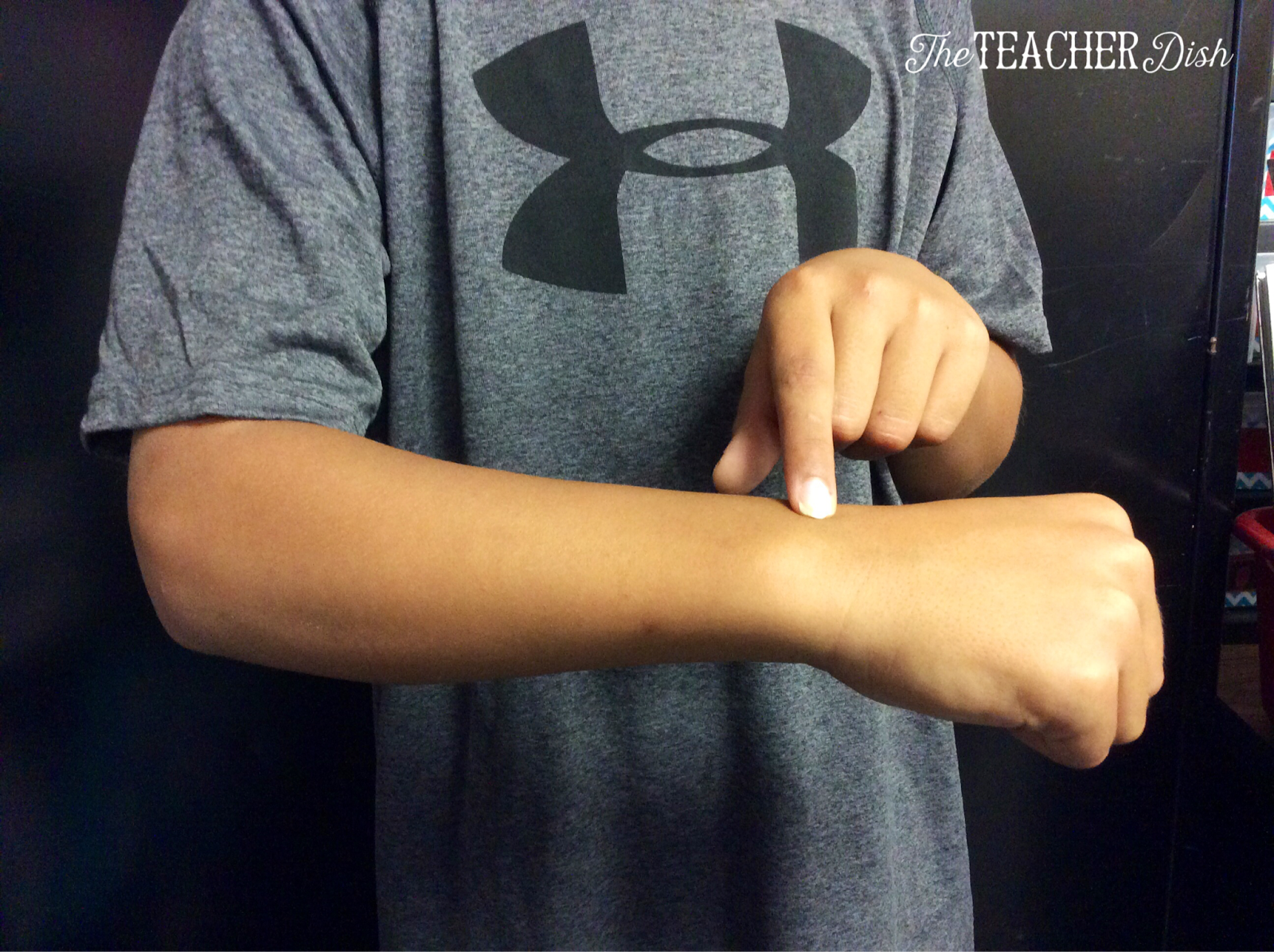 The Teacher Dish: Bill of Rights Made Easy!