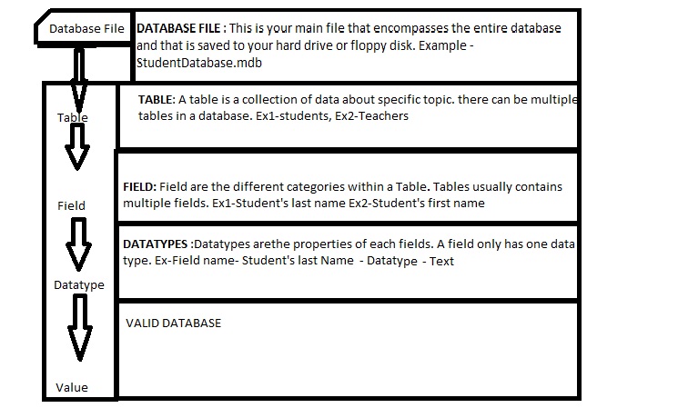 Complete Computer Course For Class 10 Ms Access