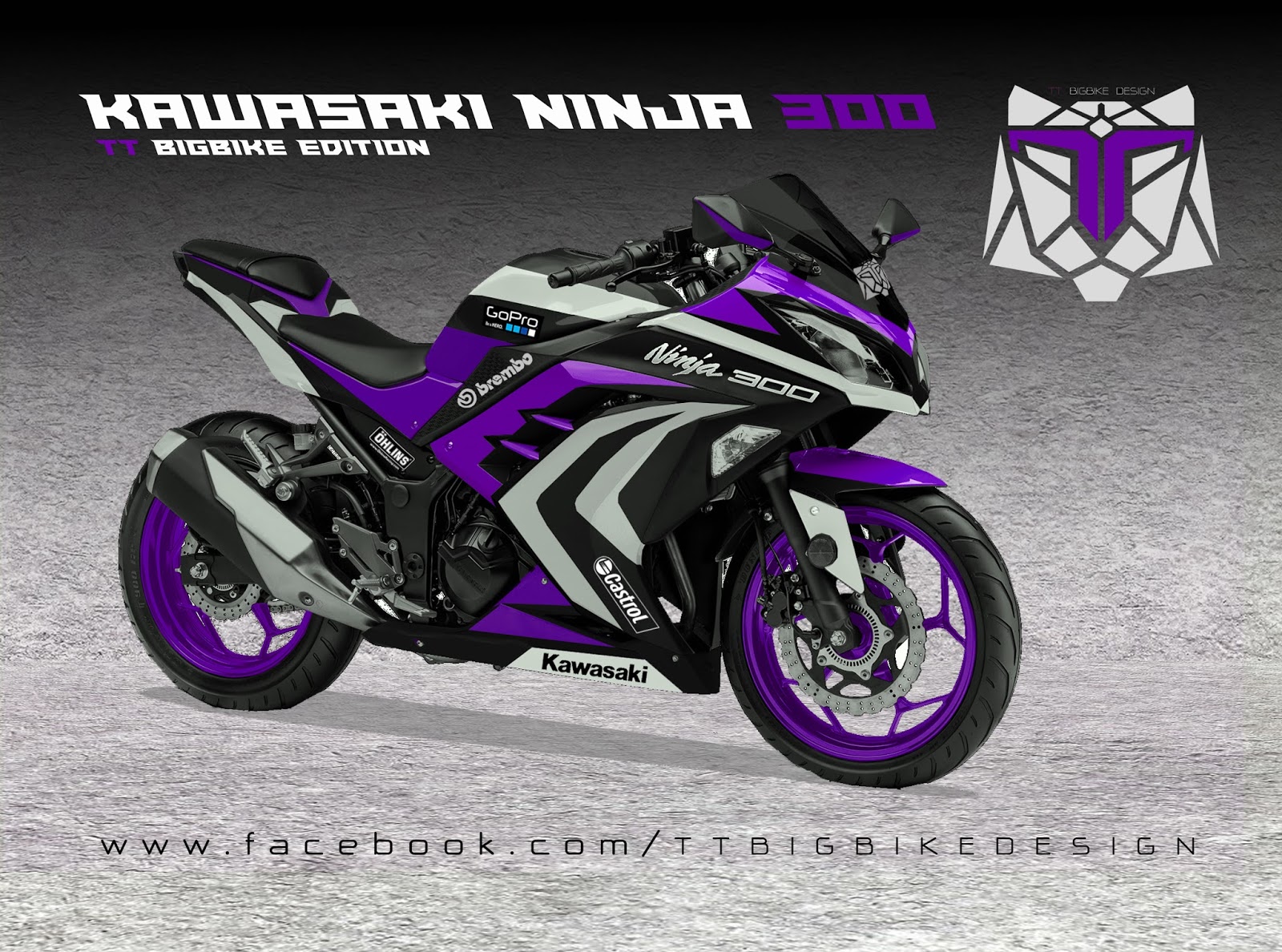 TT BIGBIKE DESIGN: DESIGN COCEPT OF COLOR PATTERNS KAWASAKI NINJA300 #1