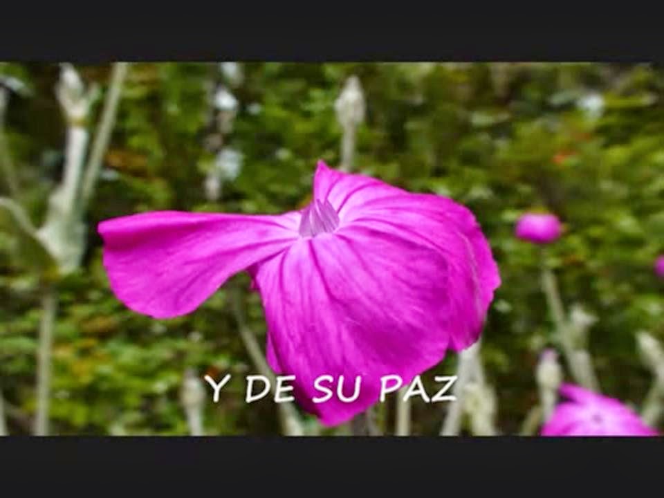 la-mas-grande-de-las-virtudes-1-pedro-2-1-2