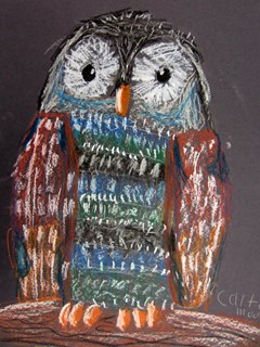 Art to the Moon & Back: Owls