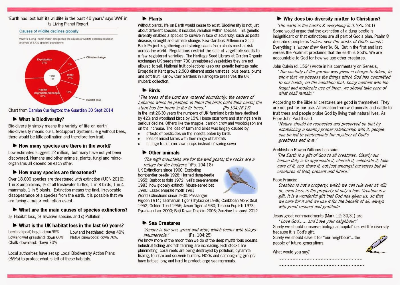 The Rainforest Fund Project: Leaflet Part 3: How to write a leaflet so ...