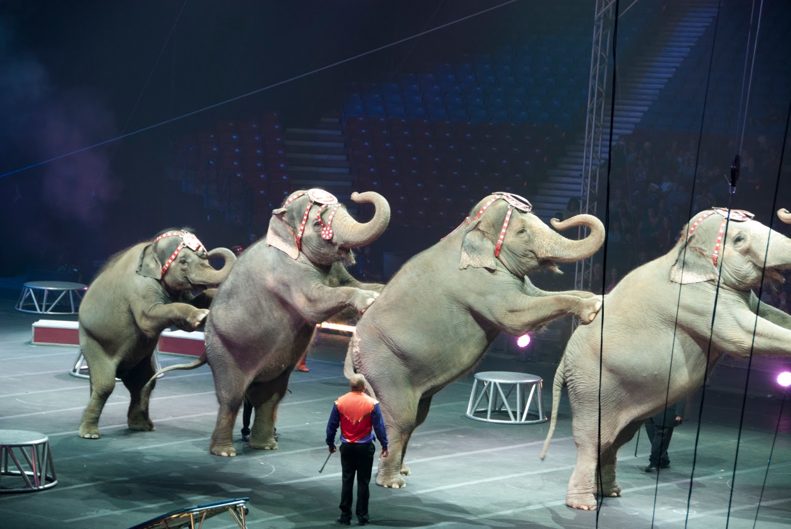 All Things Elise & Alina: Ringling Brothers & Barnum and Bailey Circus ...