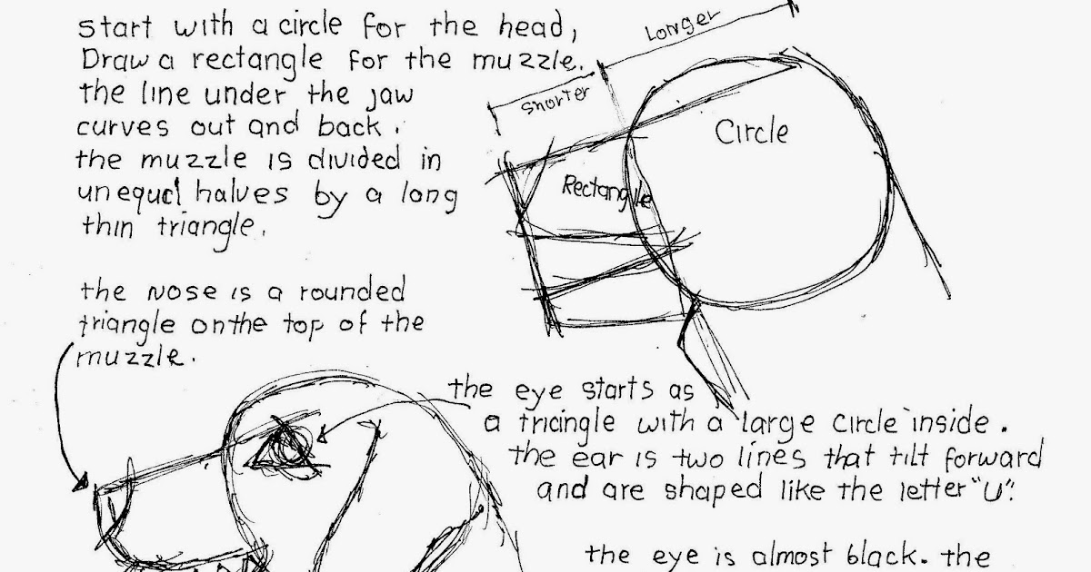 How to Draw Worksheets for The Young Artist: How To Draw A Simple Dog ...