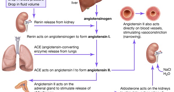 The Icebreaker: Contraction Alkalosis