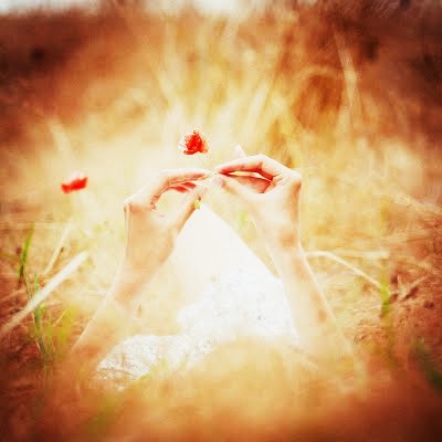 GUIDANCE CENTER FOR THE ELDERLY "COPLATE"