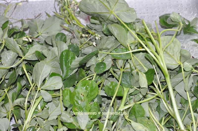 Mai Sepinggan: JERUK MAMAN