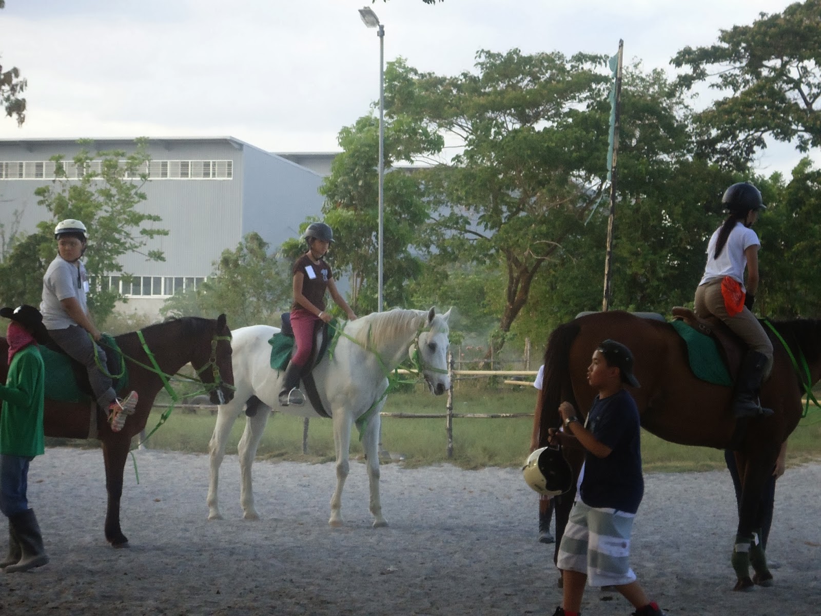 Horse Riding Philippines: May 2013