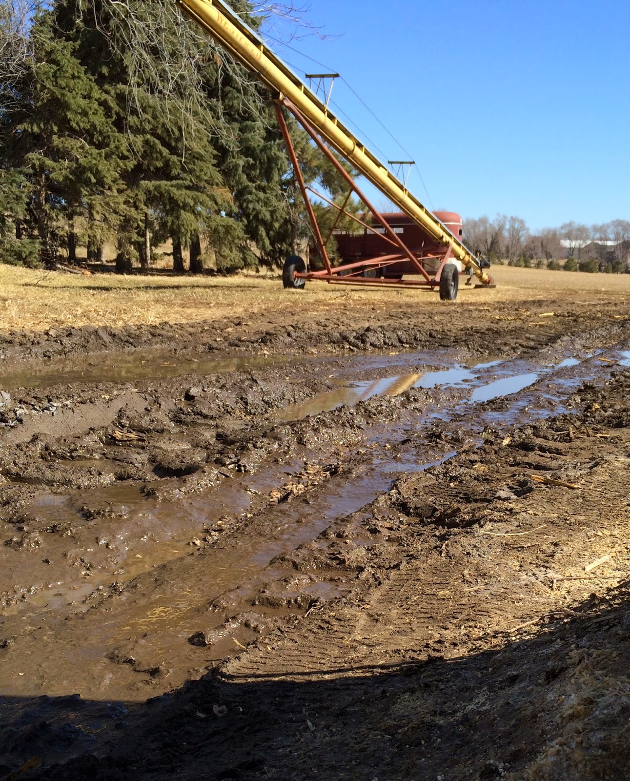 My Barnyard View : Mud, A Sure Sign Of Spring