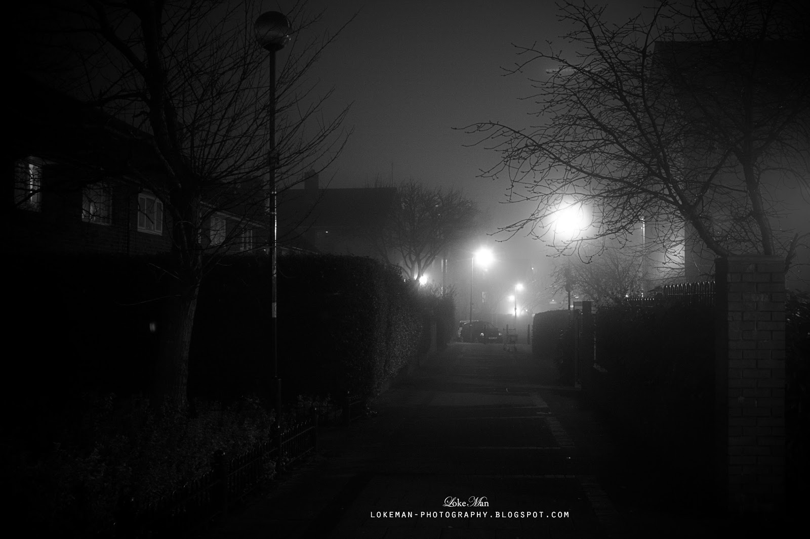The Way Photography Begins : The Mist Night