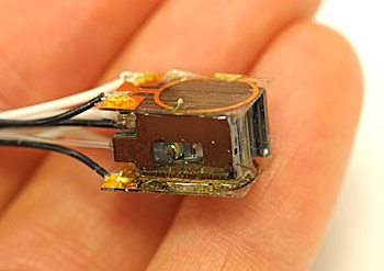 NIST Mini-sensor Measures Magnetic Activity in Human Brain ...