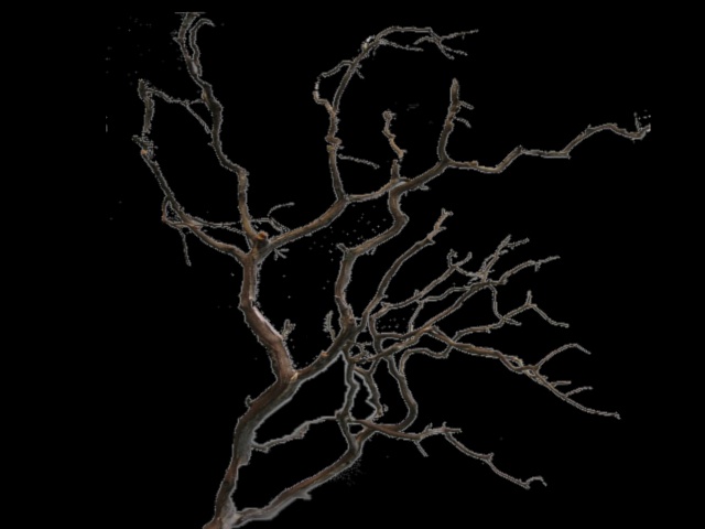 3D Modelling: Alpha Mapping